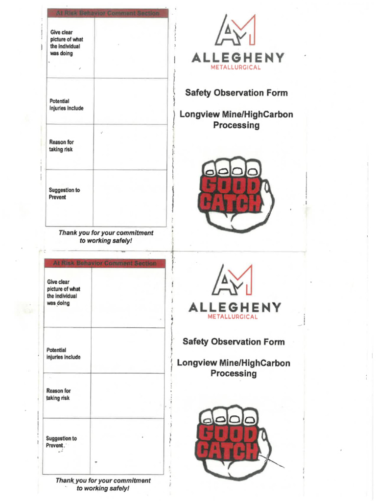 Observations Printable | PDF