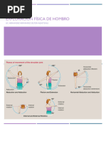 Pruebas de Inestabilidad del Hombro | PDF | Hombro | Codo