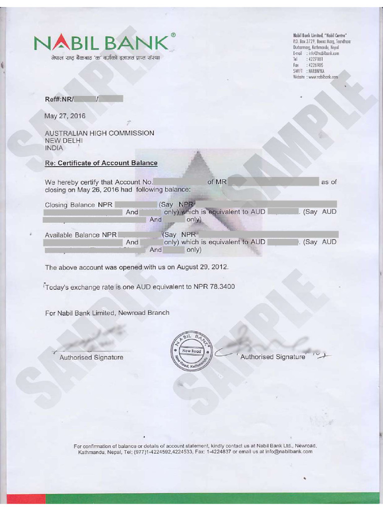 Nabile Bank Balance 1 | PDF