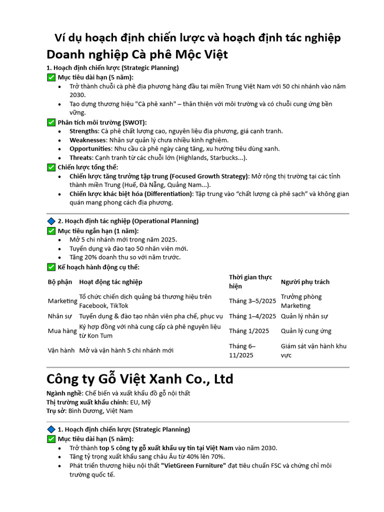 Case Sudy ViduHoachDinh | PDF