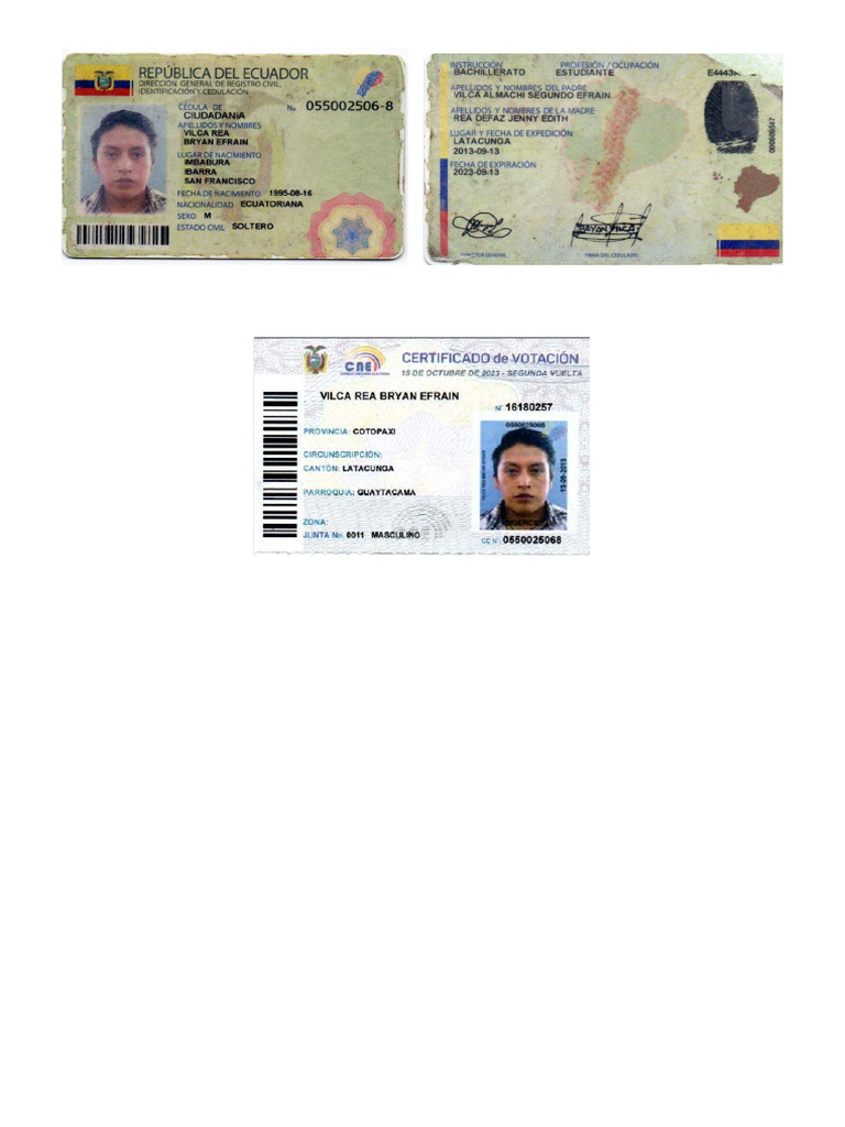 Vilca Bryan Cedula y Papeleta | PDF