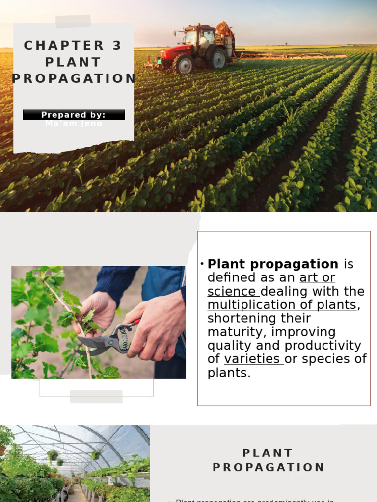 Chapter 3 Lesson 1 Grafting and Budding | PDF | Grafting | Plant Morphology
