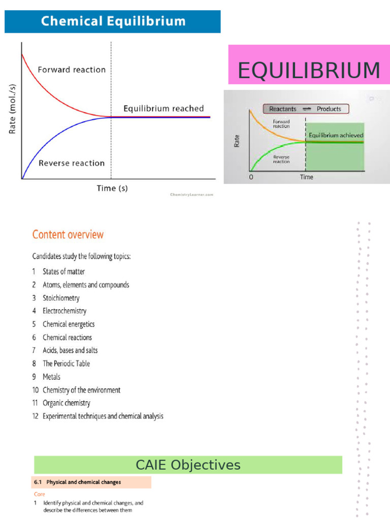 Equilibrium and Its Applications | PDF | Chemical Reactions | Sulfur