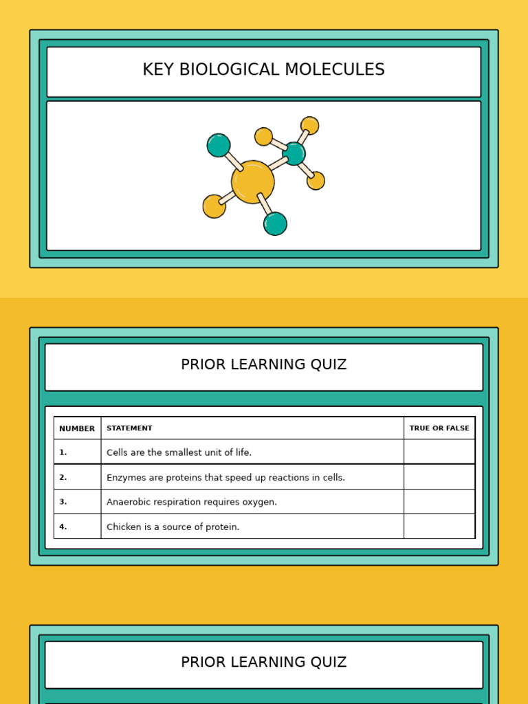 Key Biological Molecules Overview | PDF | Proteins | Nucleic Acids