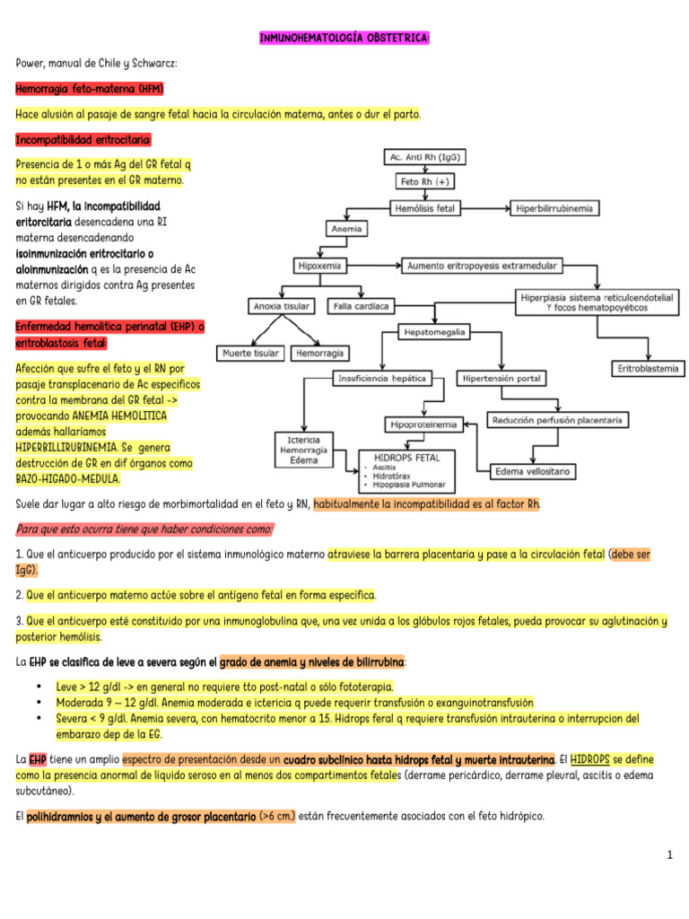 Inmunohematología Obstétrica: EHP y Riesgos | PDF | Medicina CLINICA ...