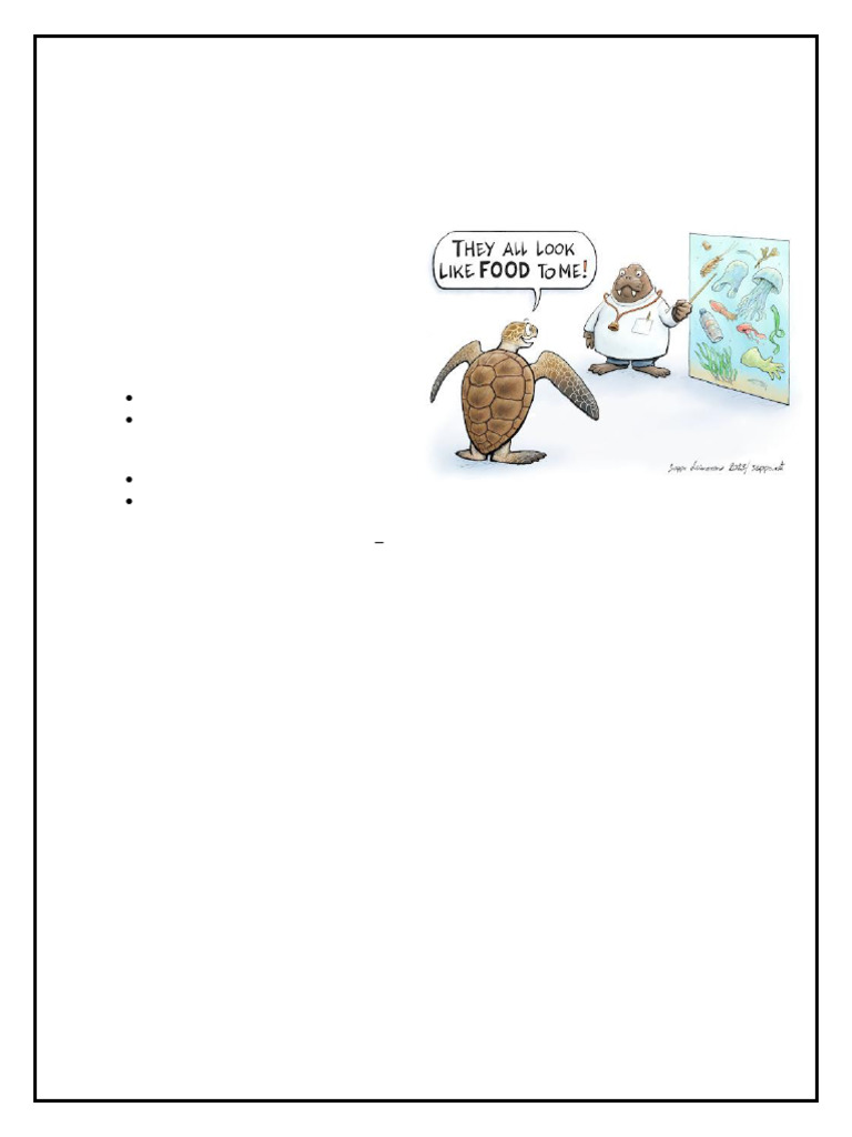 Instruction To The Task - Comic Strip Project | PDF