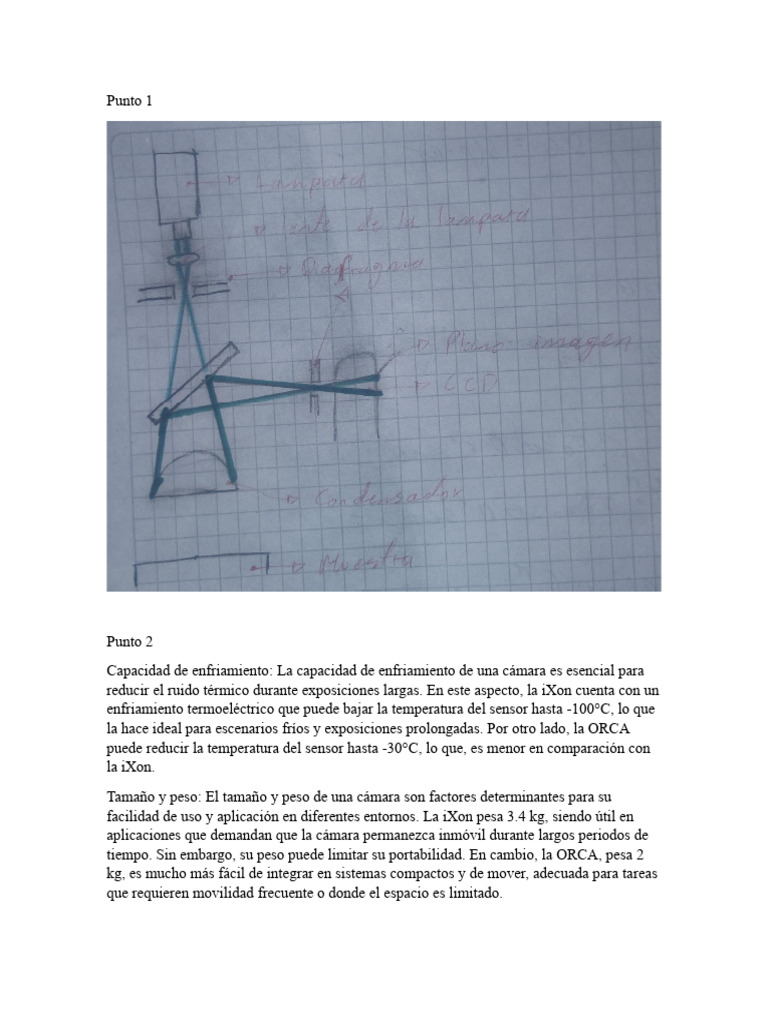 Tarea Micro 3 | PDF | Dapi | Píxel