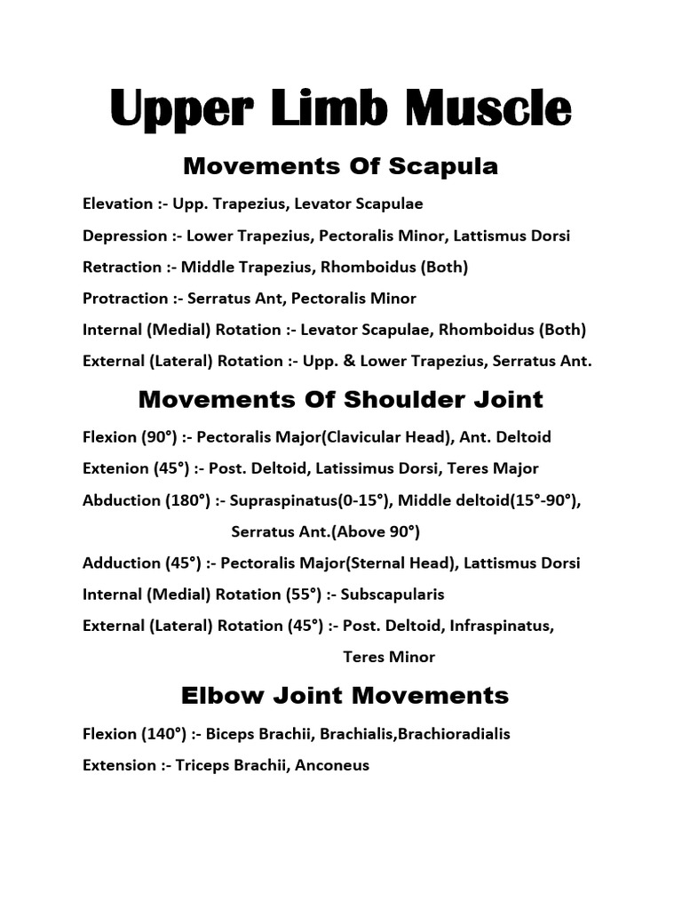 Upper Limb Muscle Movements Guide | PDF