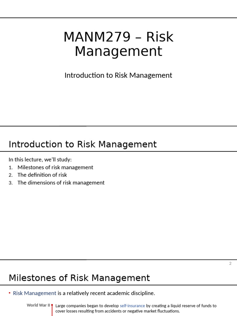 Understanding Risk Management Basics | PDF | Risk | Financial Risk