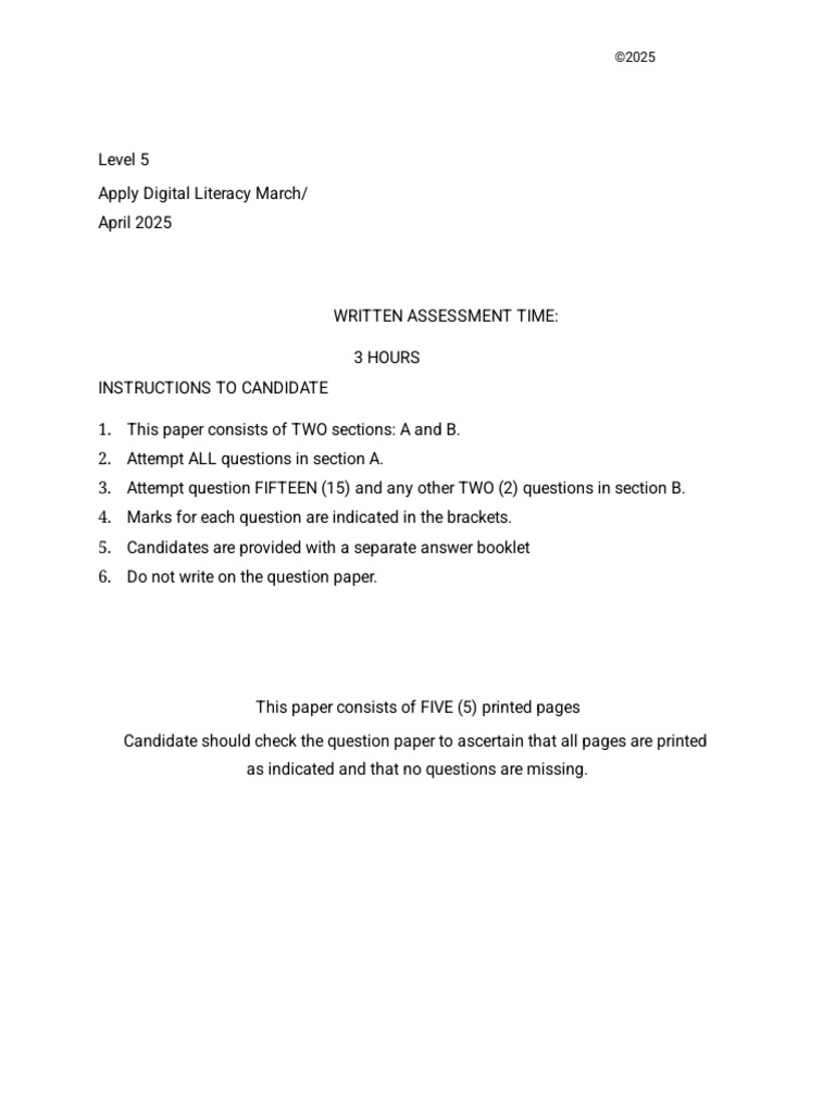 Level 5 Digital Literacy Assessment 2025 | PDF | Microsoft Word ...