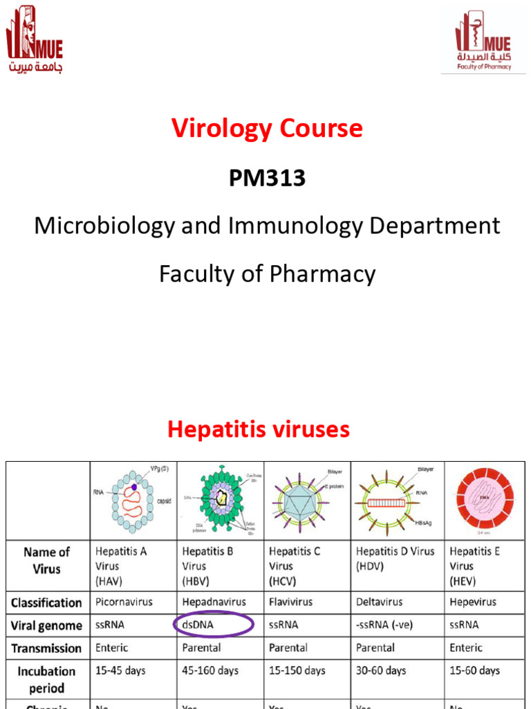 Overview of Hepatitis Viruses and Treatments | PDF | Hepatitis B ...