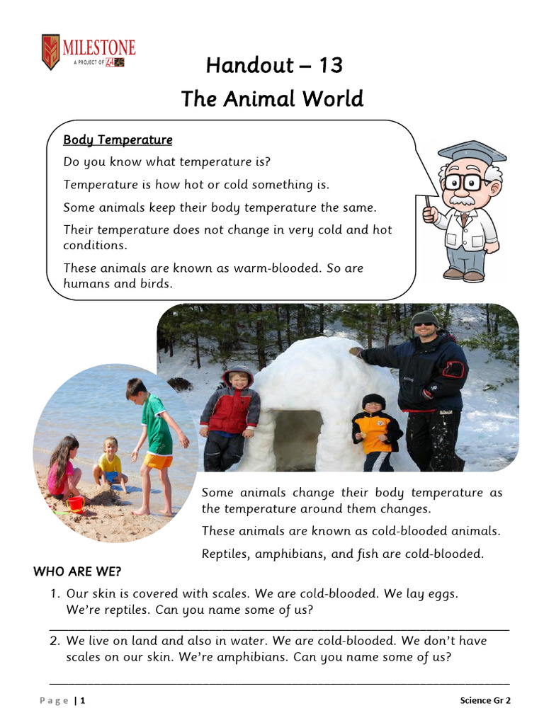 Handout 13 Body Temperature | PDF