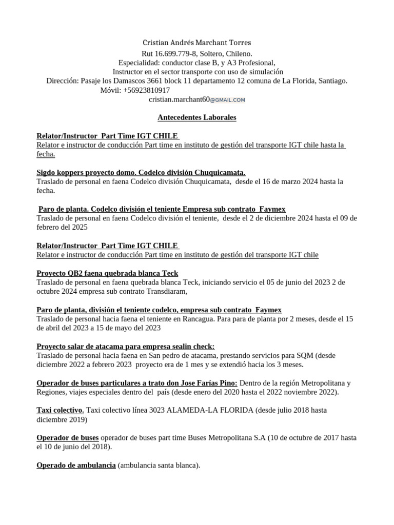 Currículum Junio 2025 | PDF | Contabilidad