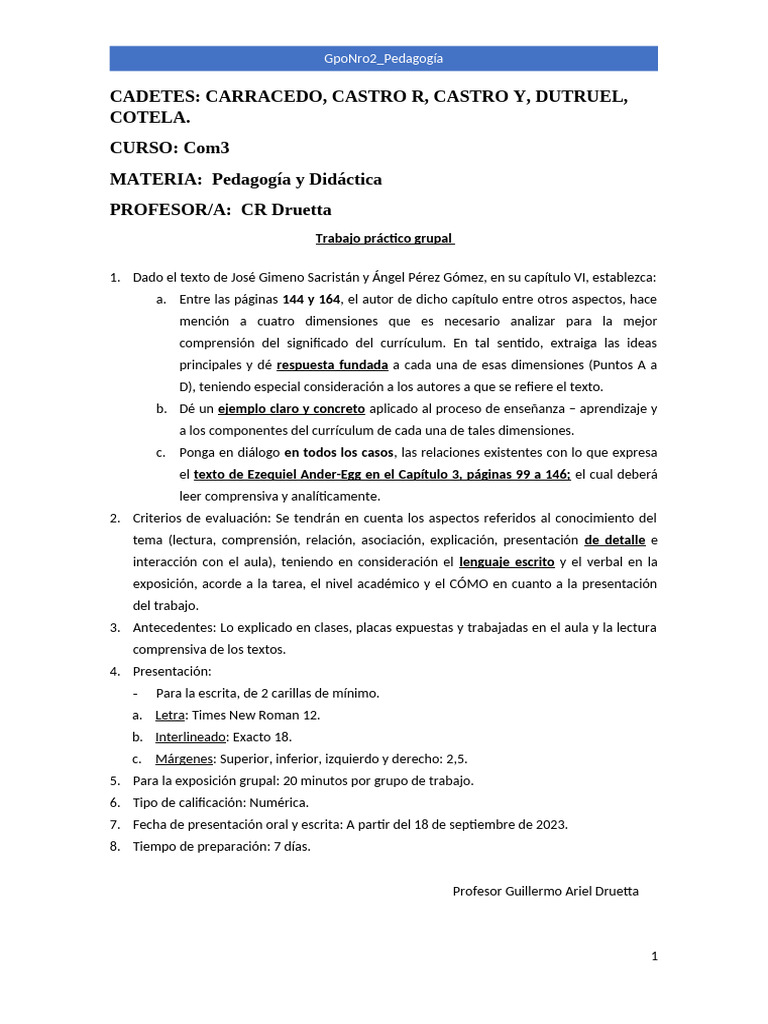 Formato TP | PDF | Plan de estudios | Enseñando