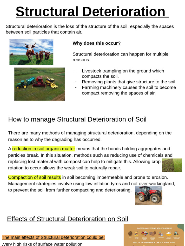 Structural Deterioration | PDF