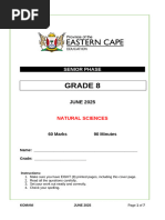 Grade 8 Term 3 Mini PAT | PDF | Mining