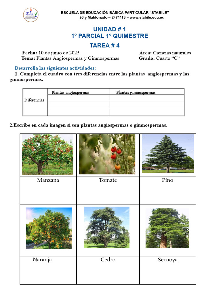 TAREA CCNN Tarea 4 | PDF