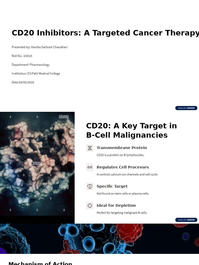 CD20 Inhibitors A Targeted Cancer Therapy | PDF