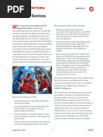 HALLIBURTON-MWD-LWD Services Overview | PDF | Physical Sciences