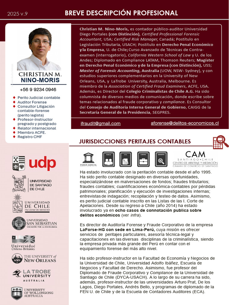 Brochure Christian M Nino-Moris | PDF | Auditoría | Contador
