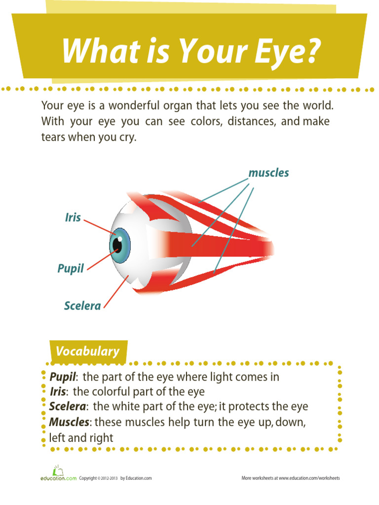 Eye Diagram | PDF