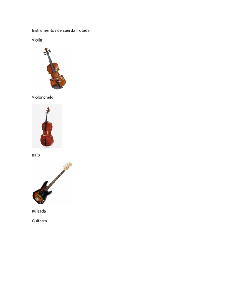 Instrumentos de Cuerda Frotada | PDF