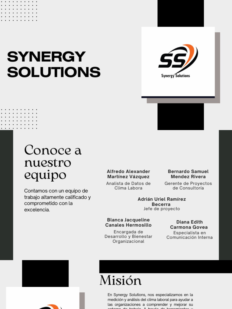 Synergy Solution | PDF | Business | Liderazgo
