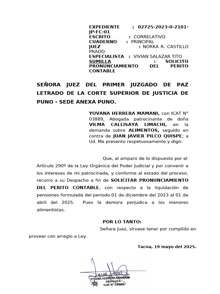 Solicito Prununciamiento Del Perito Contable-yunguyo-Vilma Calizaya | PDF