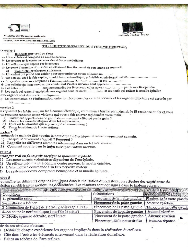 PDFReader 20241116 1329 | PDF