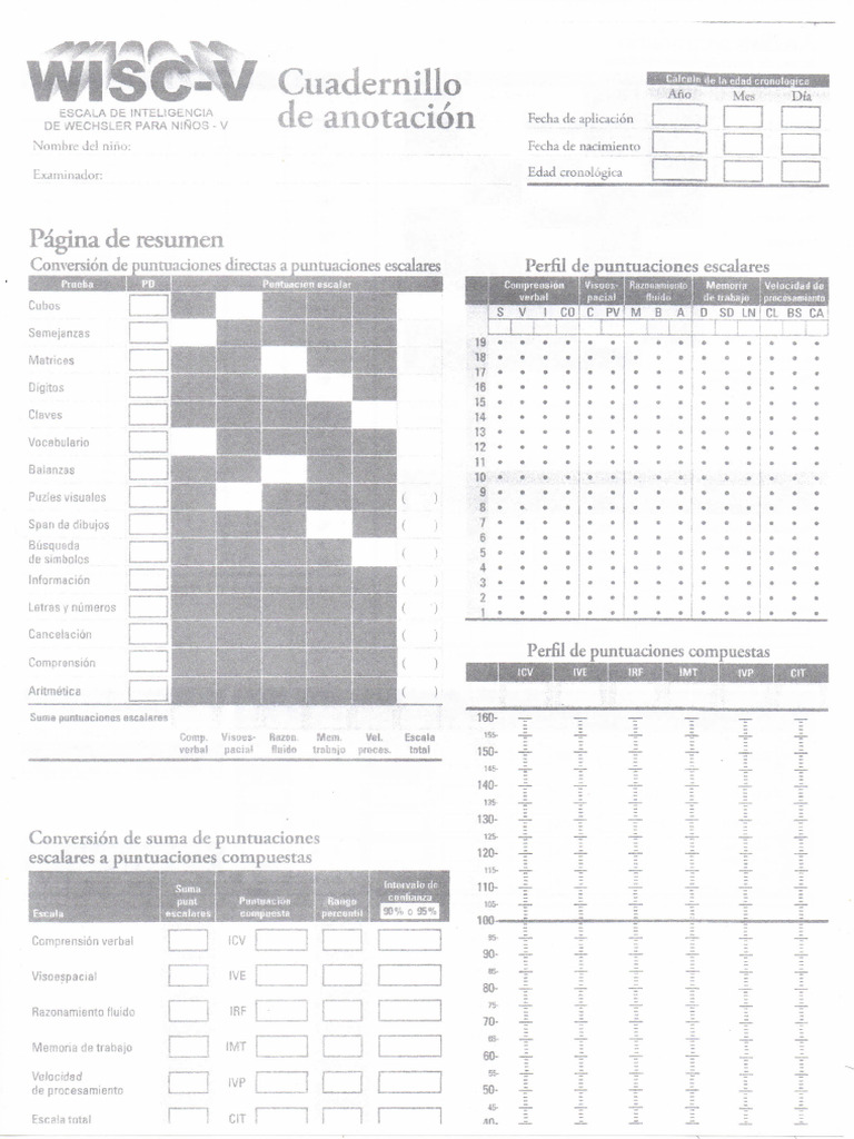 Protocolo Wisc V | PDF