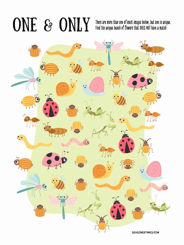 125 One Only Insects | PDF