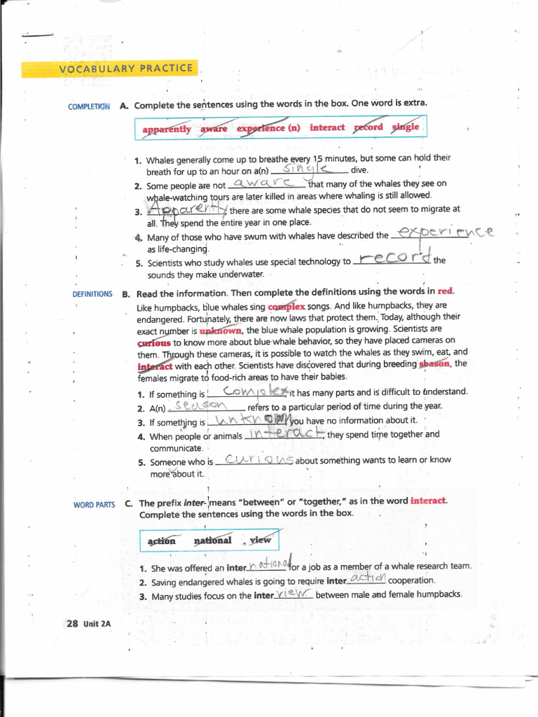 Anthony Reading Comp HWK 6-16-25 | PDF