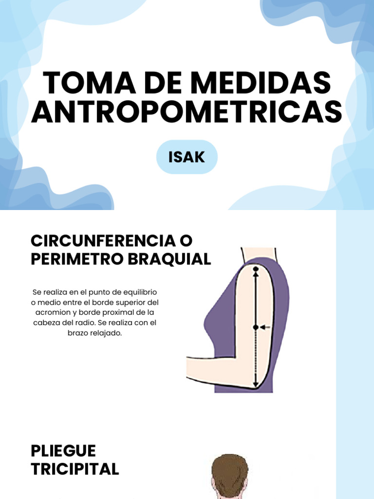 Protocolo de Medidas Antropométricas ISAK | PDF