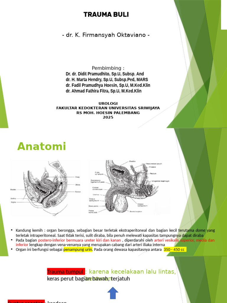 Trauma Buli - MAN | PDF