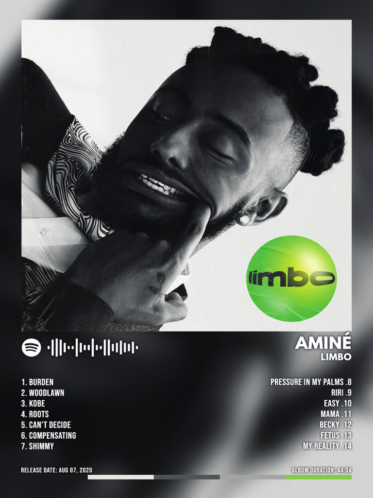Amine Limbo | PDF