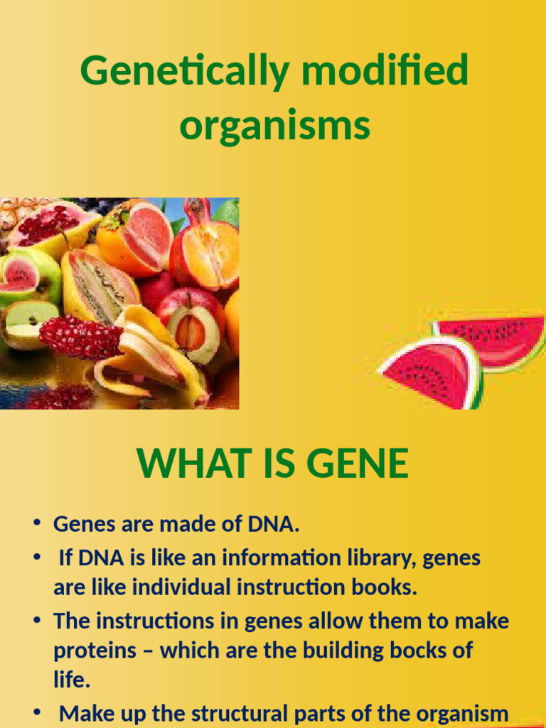 Genetically Modified Organisms | PDF | Genetic Engineering ...