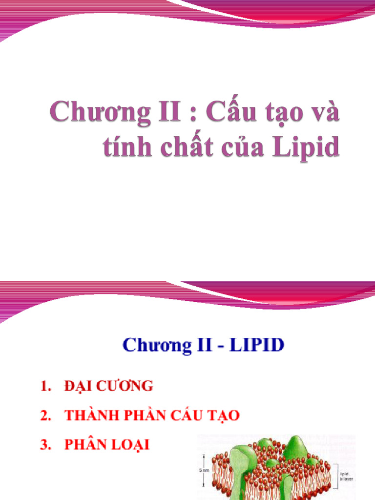 Chương 2 Lipid | PDF