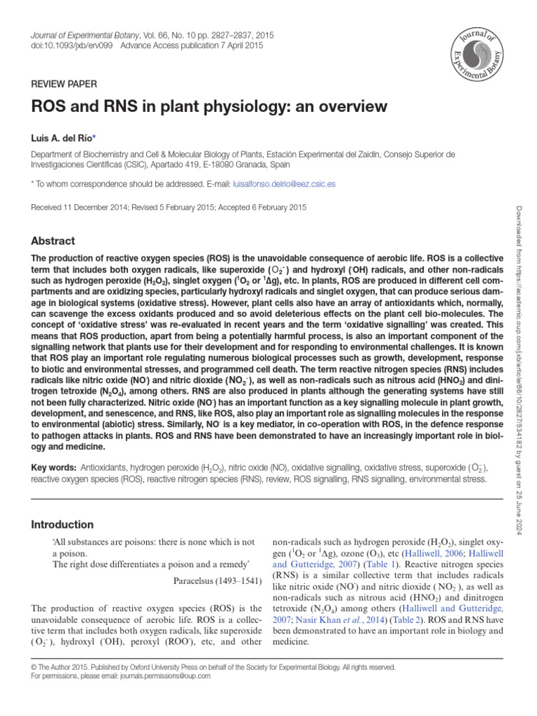 ROS and RNS in Plant Physiology, An Overview | PDF | Reactive Oxygen ...
