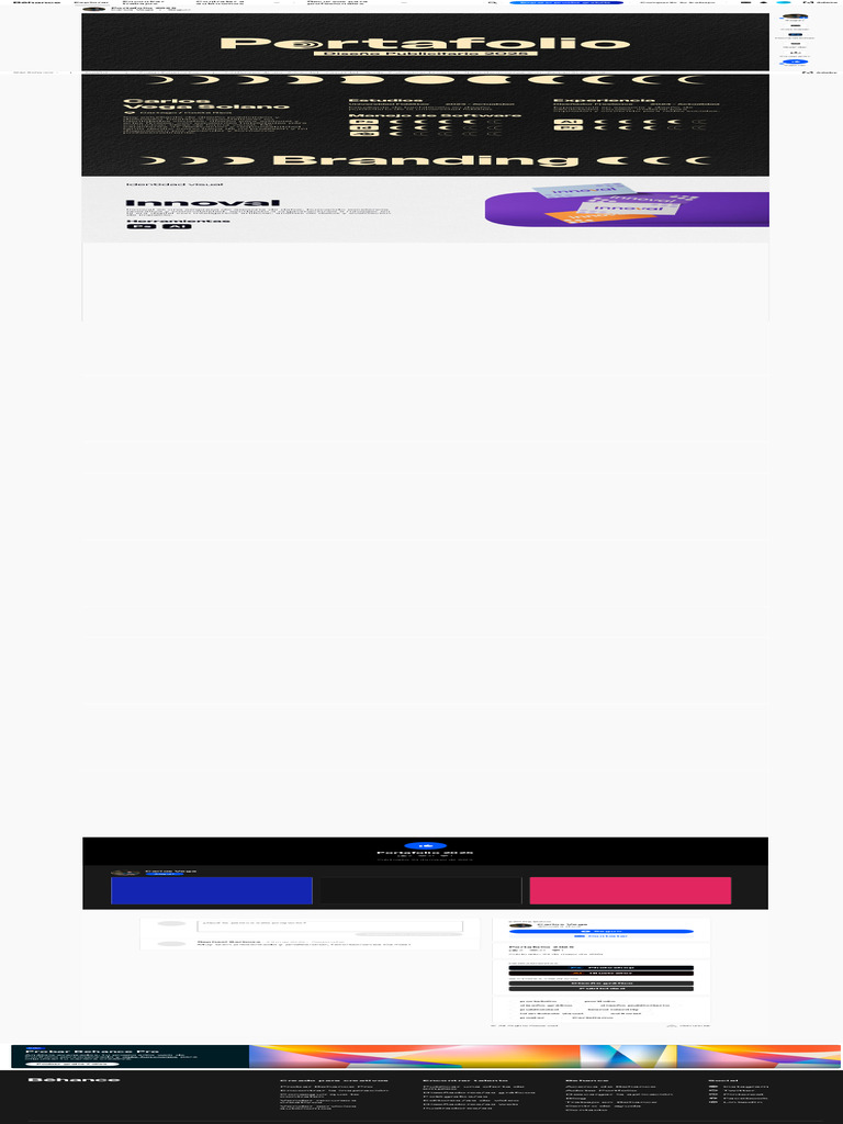 Dimensiones de Portafolio en Behance 2025 | PDF | Diseño gráfico ...