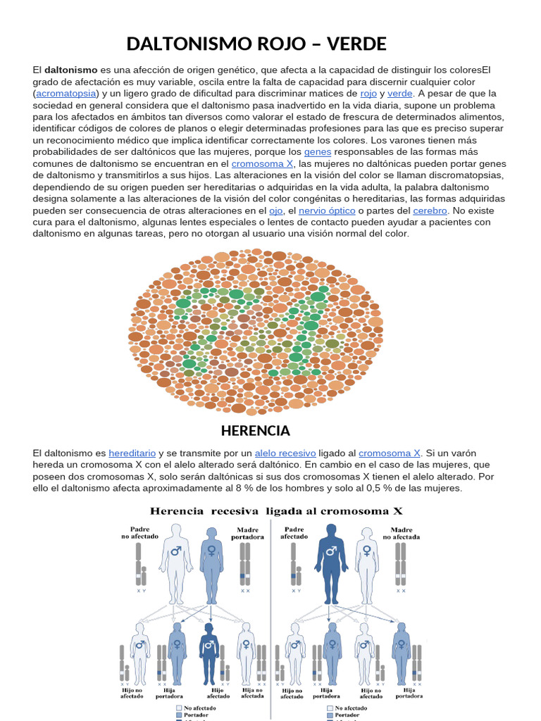 Daltonismo: Tipos, Causas y Diagnóstico | PDF | Visión | Sistema visual