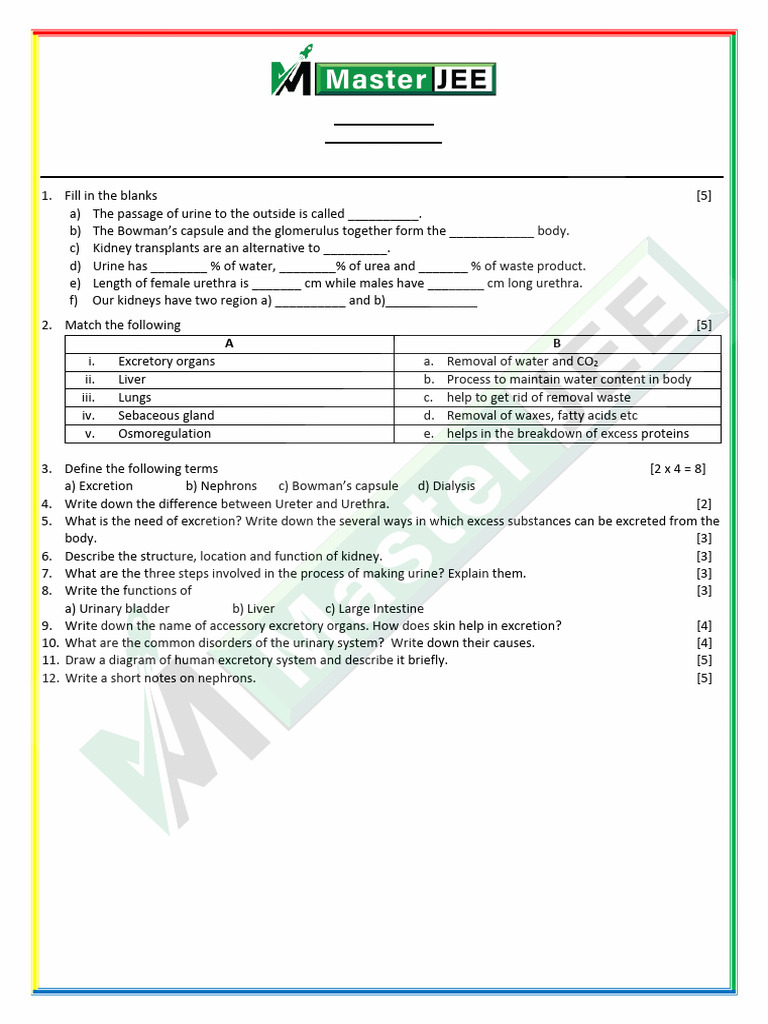 Class 7 Excretory System Worksheet | PDF | Kidney | Urinary System