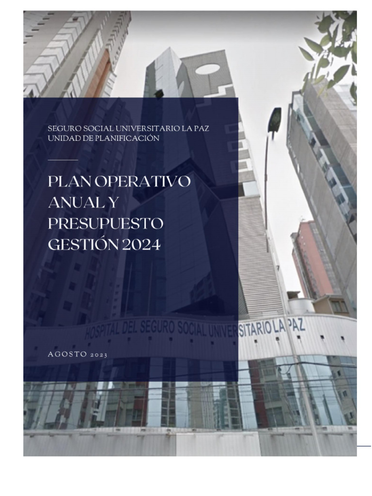 Poa 2024 | PDF | Presupuesto | Planificación
