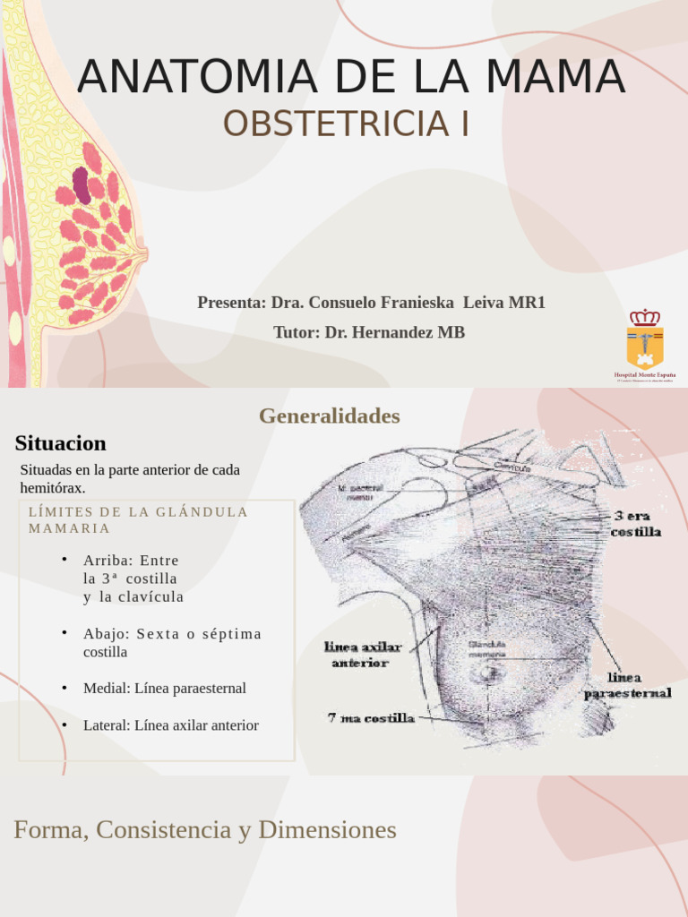 Anatomía y Fisiología de la Mama | PDF | Pecho | Lactancia