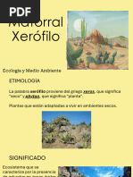 Matorral Xerofilo | PDF | Ecosistema | Entorno natural