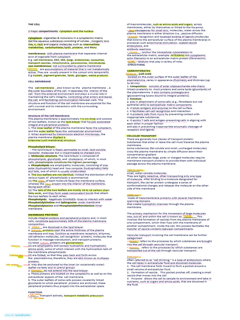 Histology-Lec-1-2-Fitb 2 | PDF | Endoplasmic Reticulum | Cell Membrane