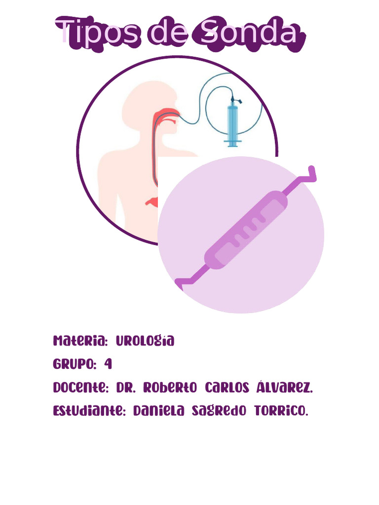 Tipos De Sondas Pdf Urología Especialidades Medicas