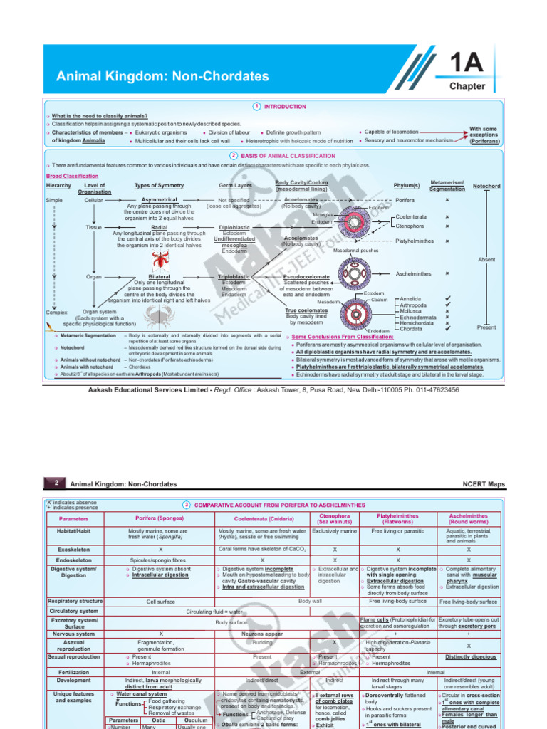 Chemistry Mind Map | PDF | Epithelium | Sponge