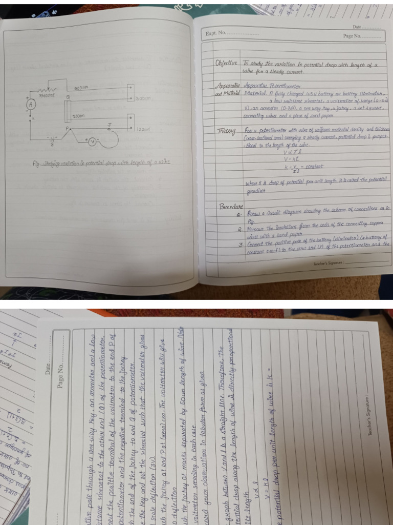 Activity Physics | PDF