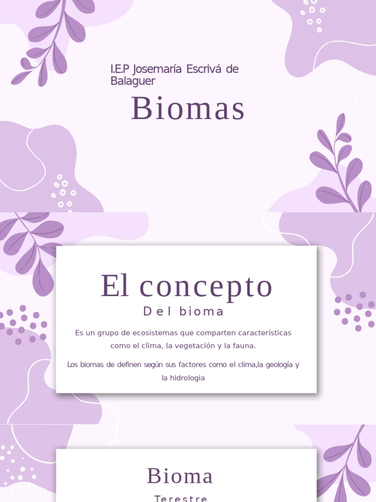 Semana 10 - Biomas Secc B | PDF | Ecosistema | Selva