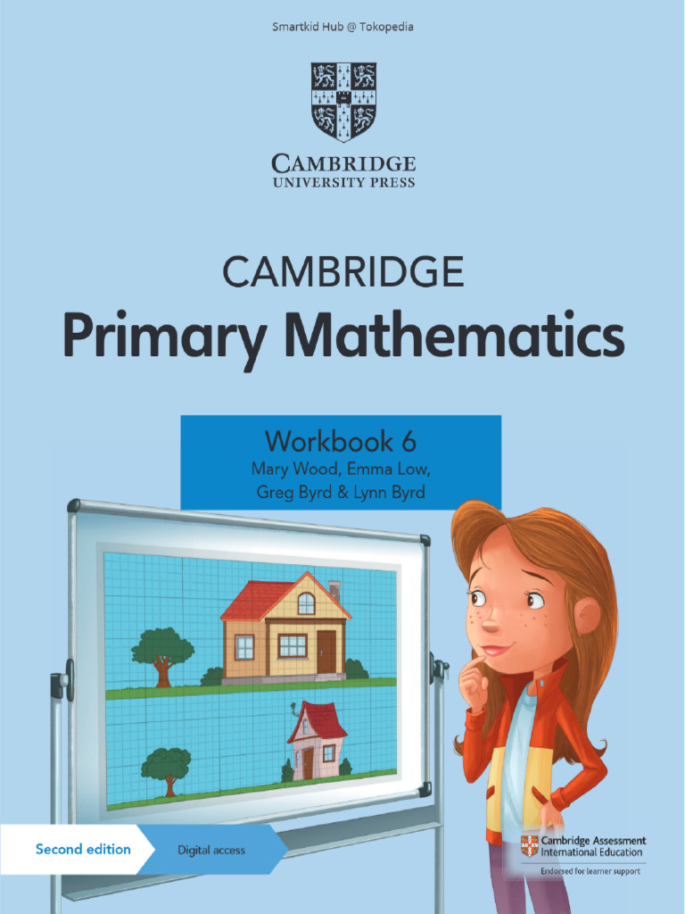 Primary Mathematics Workbook 6 | PDF